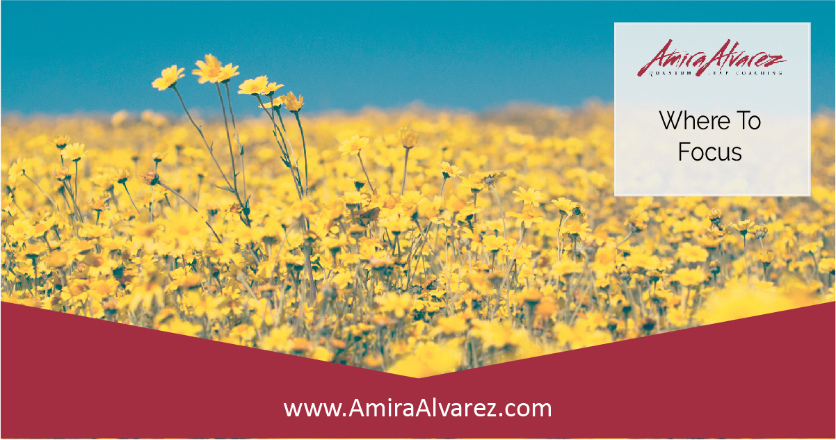 Where To Focus Your Marketing Efforts - The Unstoppable Woman®